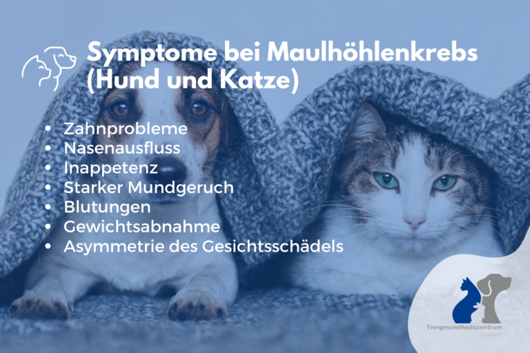 Onkologie - Tiergesundheitszentrum Overath